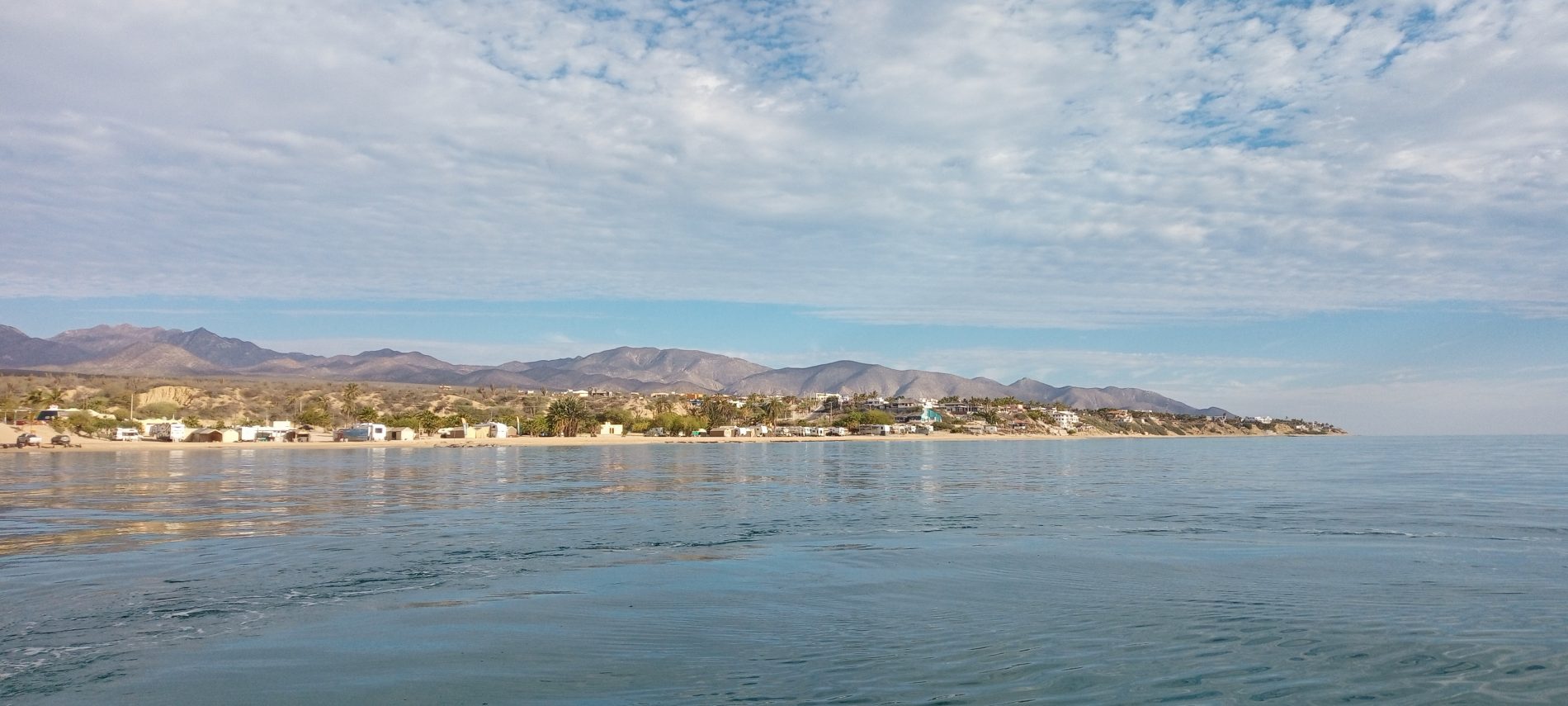 The Manta Rays of La Reina : Dive Isla Cerralvo in Baja California