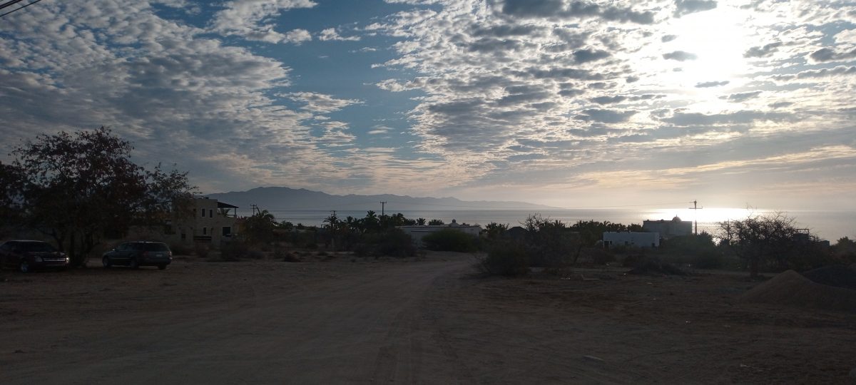 The Manta Rays of La Reina : Dive Isla Cerralvo in Baja California