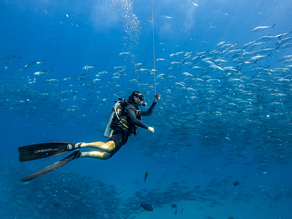 Scuba diving package in Baja California and Cabo San Lucas