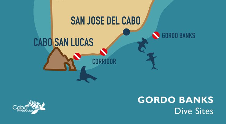 The Dive Sites of Cabo San Lucas | Cabo Private Guide