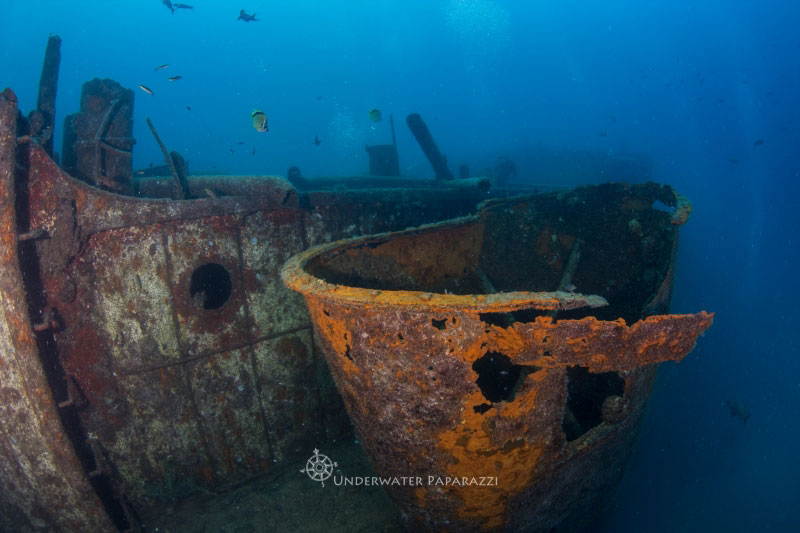 La Paz shipwreck : Dive the Fang Ming Wreck | Cabo Private Guide