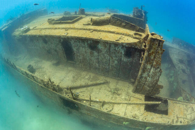 La Paz shipwreck : Dive the Fang Ming Wreck | Cabo Private Guide