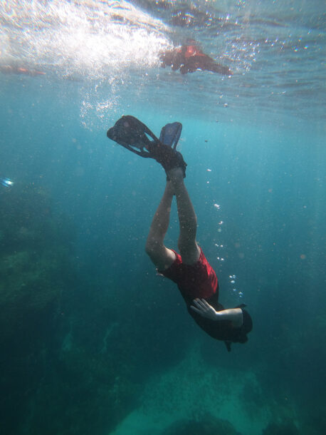 Mobula Rays migration | Private Sea of Cortez snorkeling tour