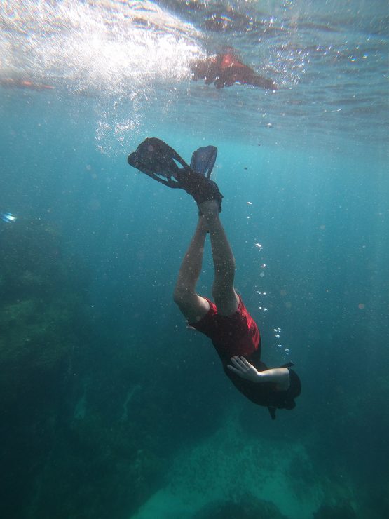 Mobula Rays migration | Private Sea of Cortez snorkeling tour
