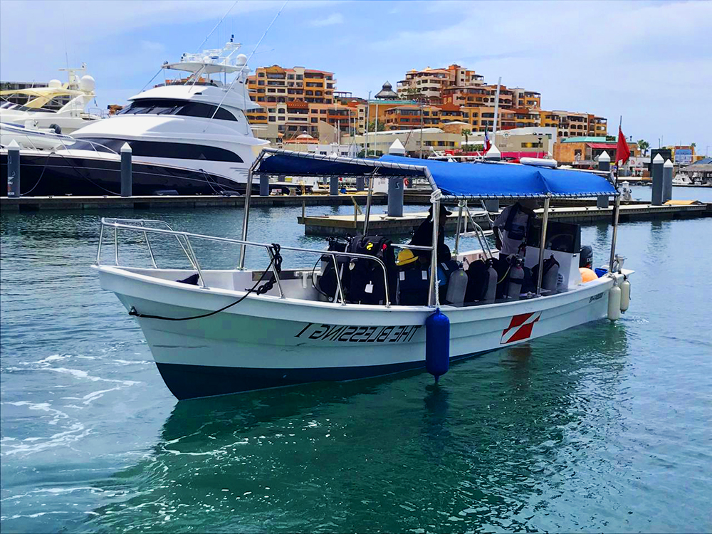 Private dive boat charter in Cabo San Lucas