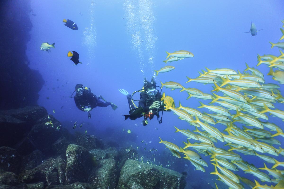 Digital Underwater Photographer - Diving Specialty Course | Cabo Private Guide