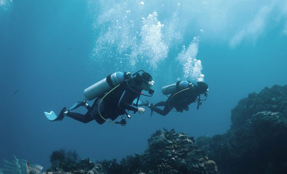 Sustainable Diving : 7 easy steps to become an eco-friendly diver